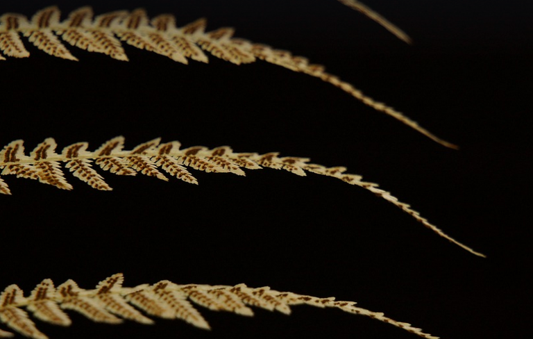 Legend In Engineering Drawing: Making Your Drawings Speak – Villda